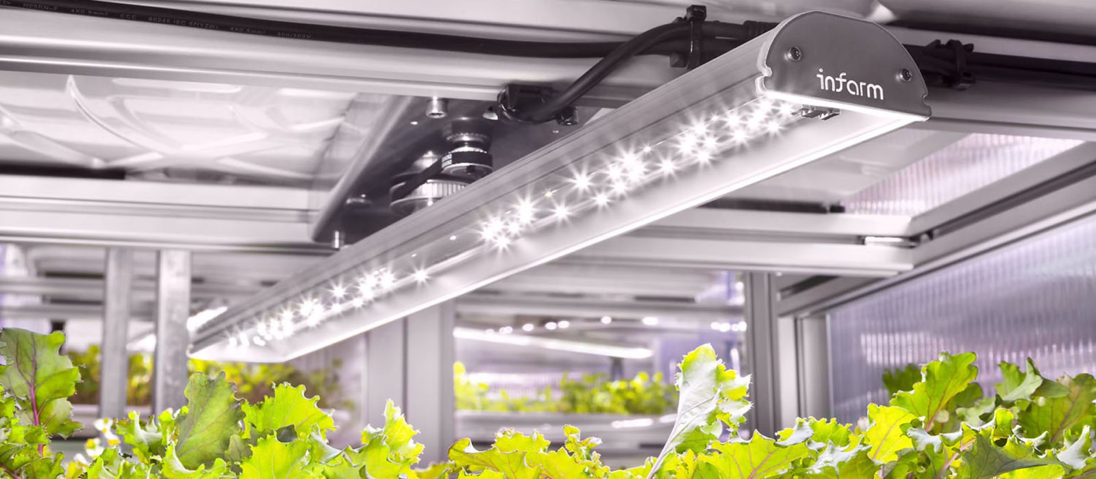 Berlin-based urban farming platform Infarm lands $100 million from ...