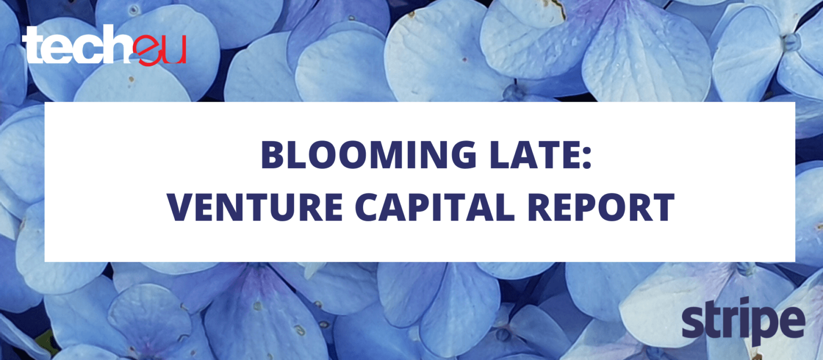 Blooming Late: The rise of late-stage funding for European tech scale ...