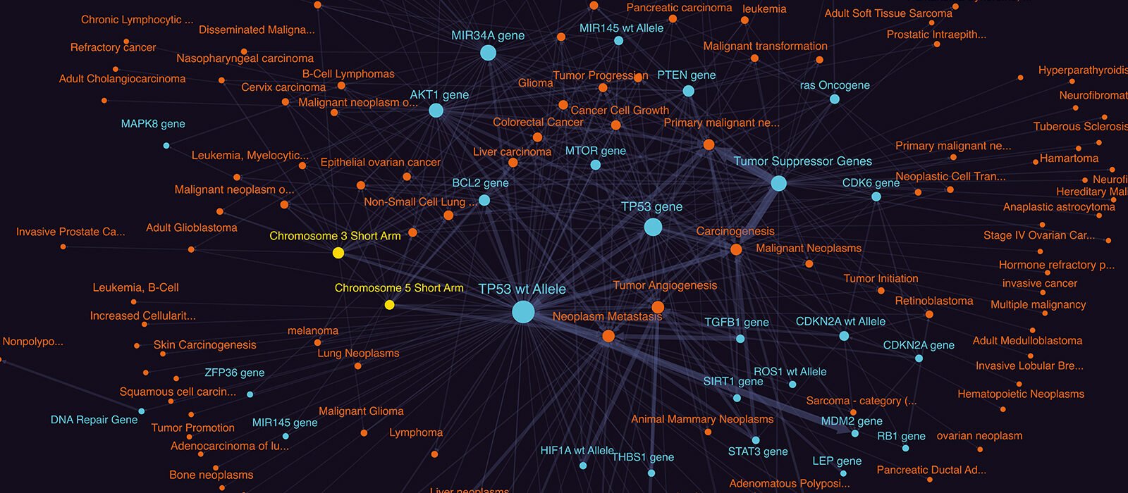 London-based BioMed connect-the-dots platform Causaly raises $17 ...