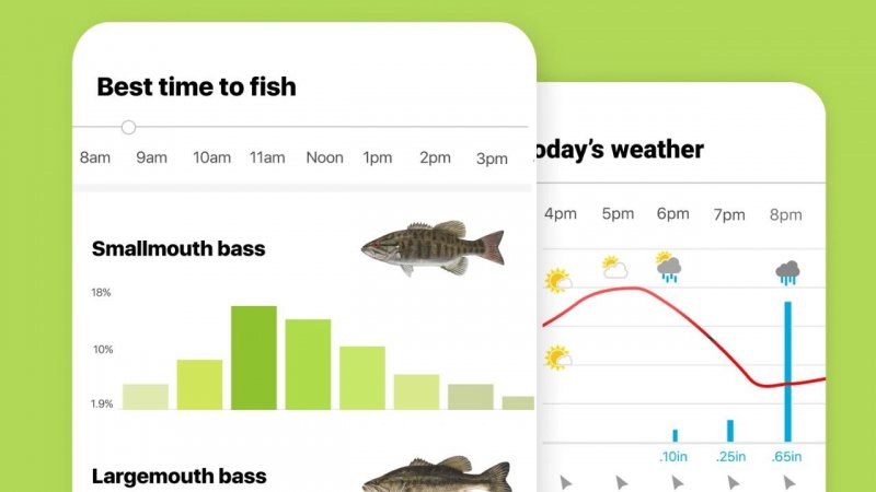Fishbrain nets $6M to enhance sports fishing app for anglers fishing ...