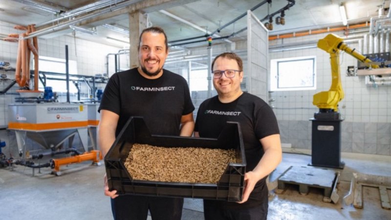 FarmInsect's €8M funding boosts scale-up of insect-based livestock feed ...