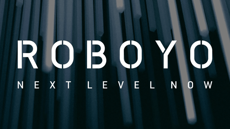 Stanley Capital Partners invests in hyper-automation specialist Roboyo ...