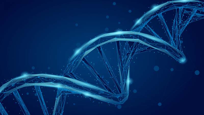 Austrian biotech HeartBeat.bio secures €4.5M for cardioid drug ...