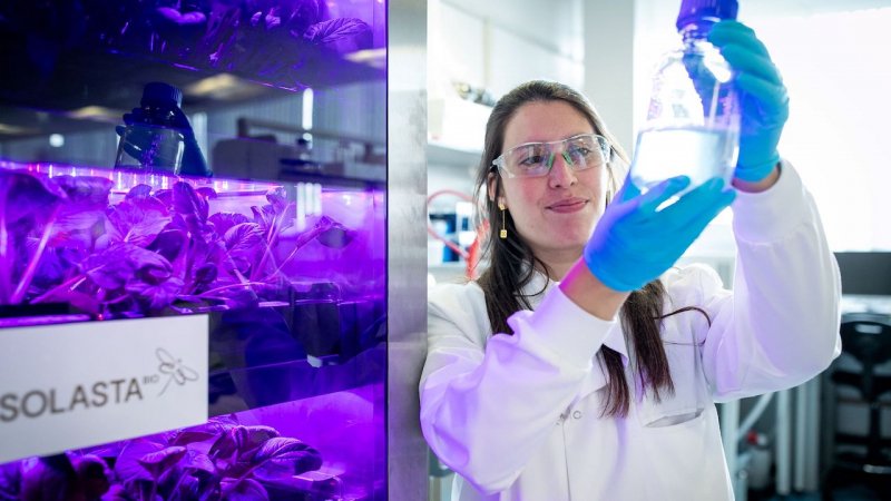 Glasgow-based Solasta Bio raises $14M Series A for green insecticides ...