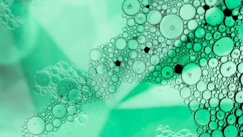 Numab Therapeutics raises $55M for antibody-based immunotherapies - Tech.eu