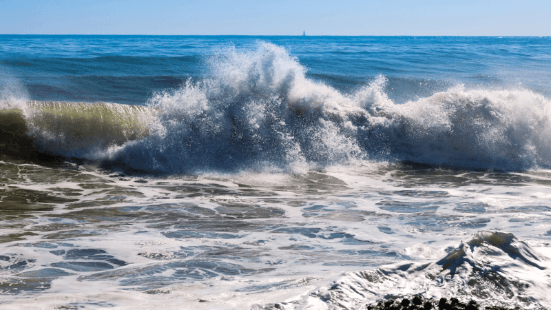 Caudal Energy raises £4.3M to scale fin-inspired tidal power technology ...